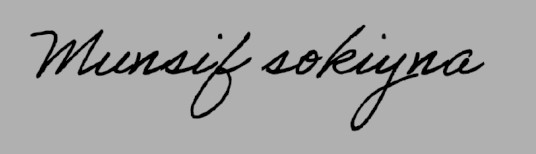 Munsif Sokiyna | Ph.D. Candidate in MIS | OSS, AI & Developer Collaboration Research